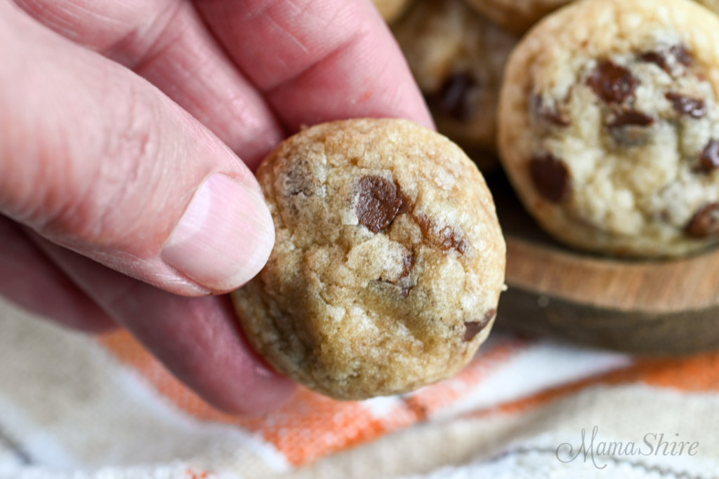 Mini Chocolate Chip Cookies (Gluten-Free) - MamaShire